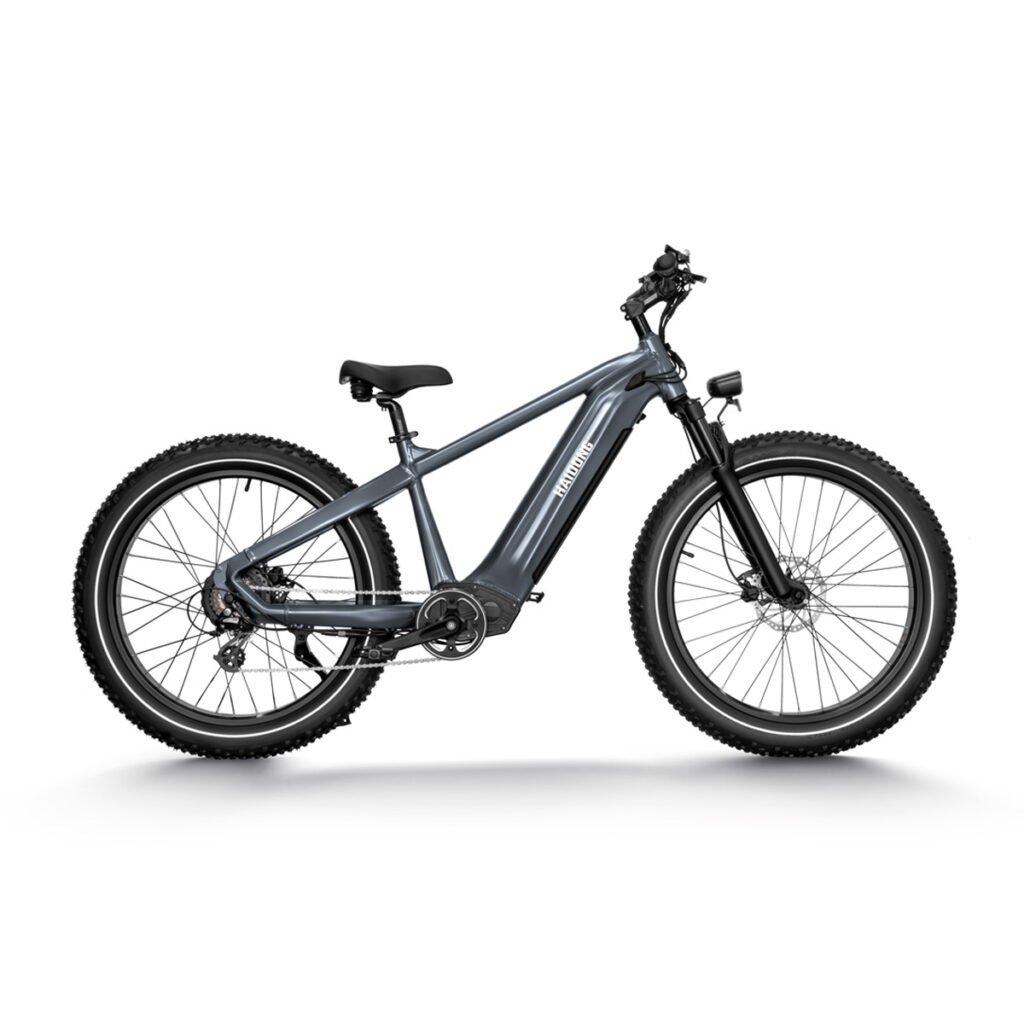 Best Ebike Manufacturer, Ebike Wholesale | Haidong bike