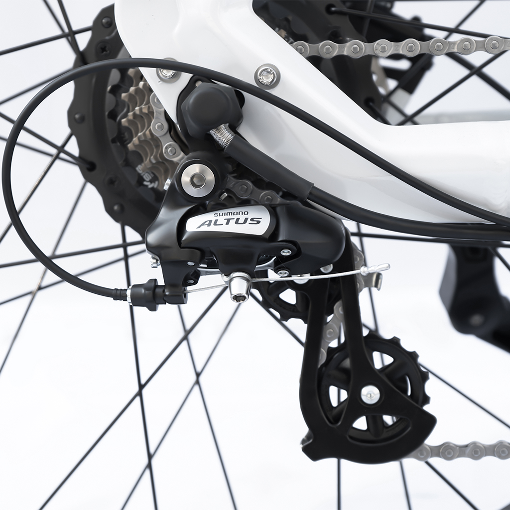 Best Ebike Manufacturer, Ebike Wholesale | Haidong bike