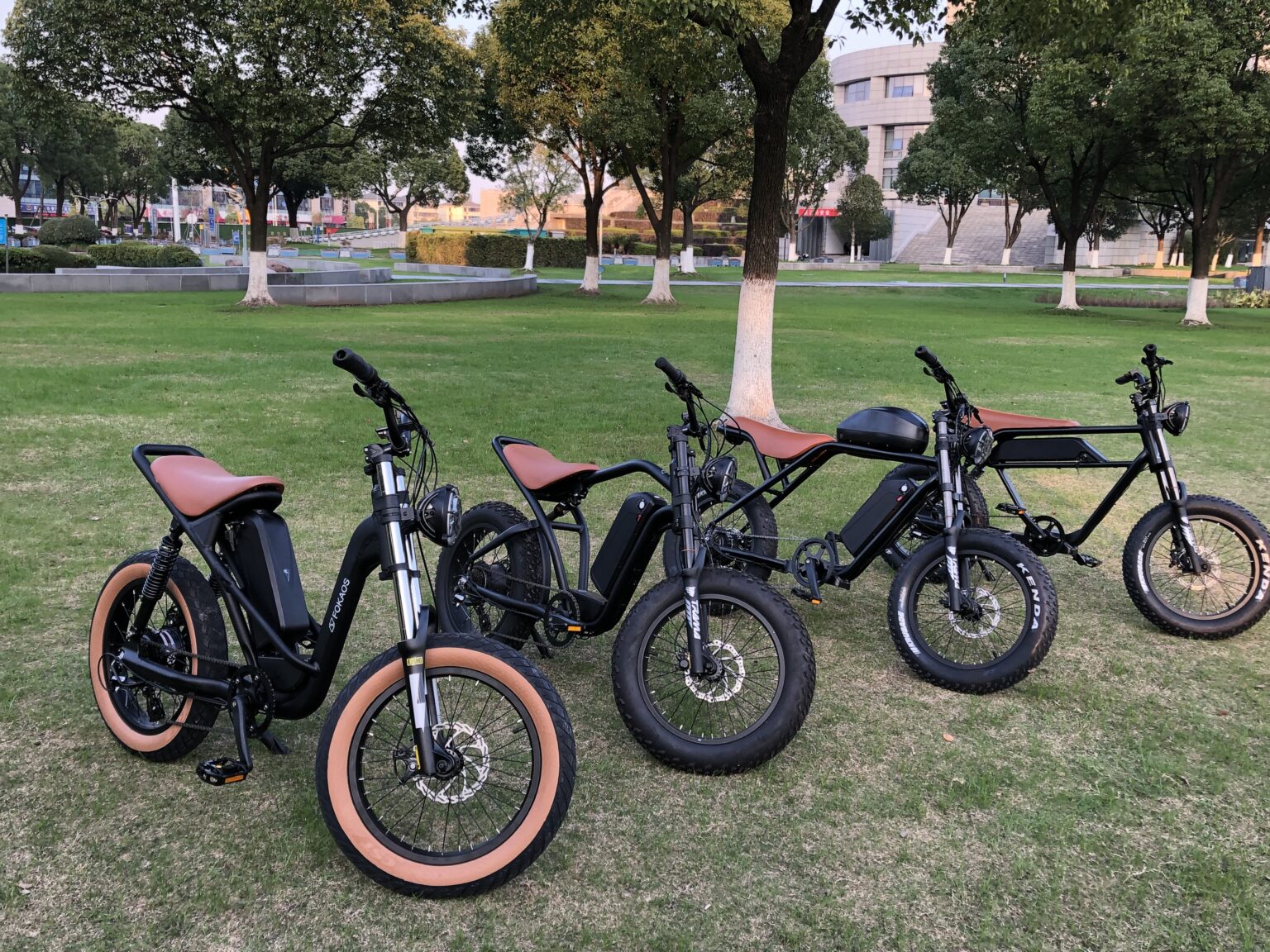 Best Ebike Manufacturer, Ebike Wholesale - Haidong Electric Bike