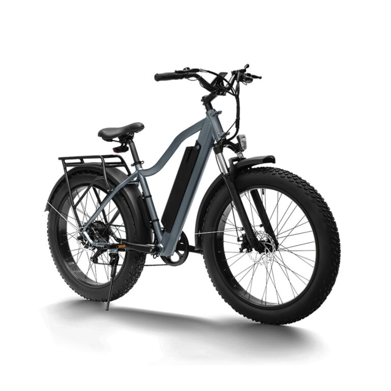 Wholesale 750w Electric Bikes | Haidong Walker