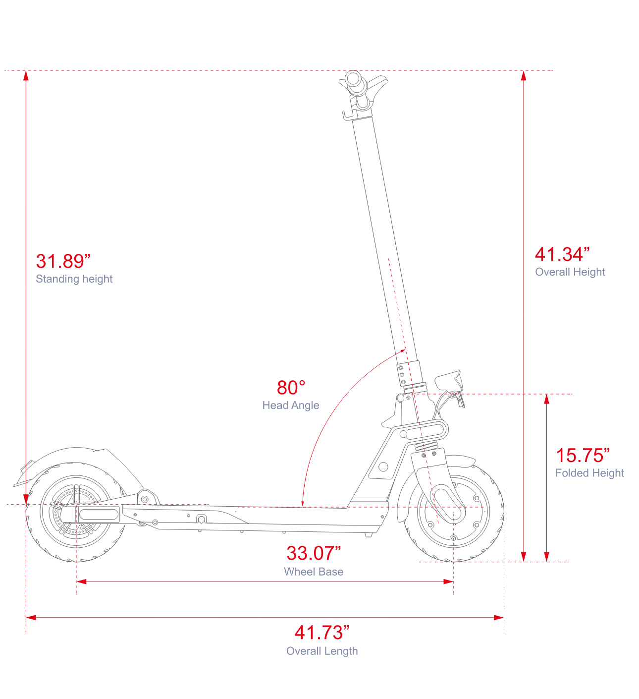Wasp Electric Scooter – Haidong Electric Bike
